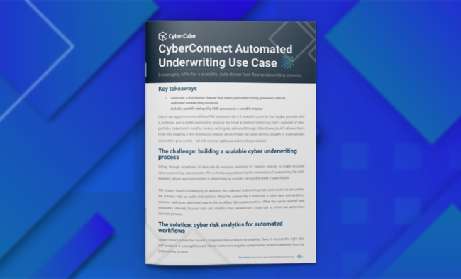 CyberConnect Fast Flow Underwriting Use Case