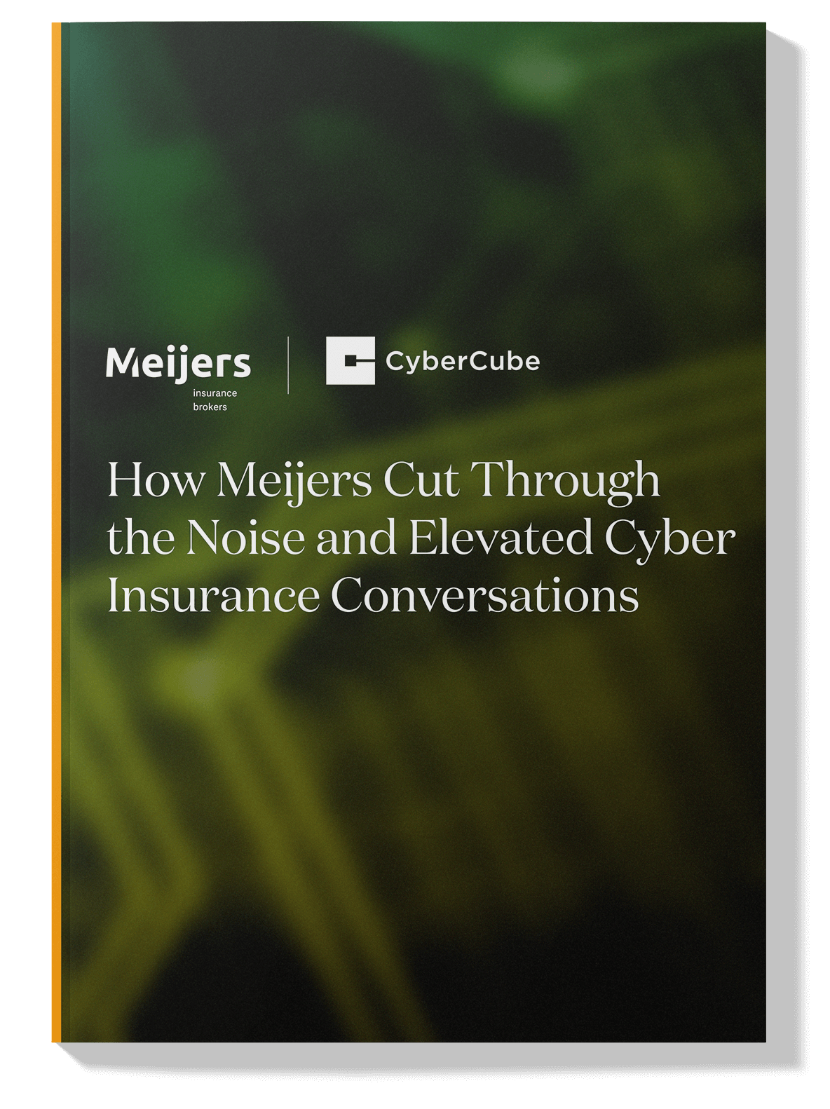 How Meijers Cut Through the Noise and Elevated Cyber Insurance ...